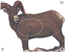 NFAA Ram Paper Target – Arrow Addiction